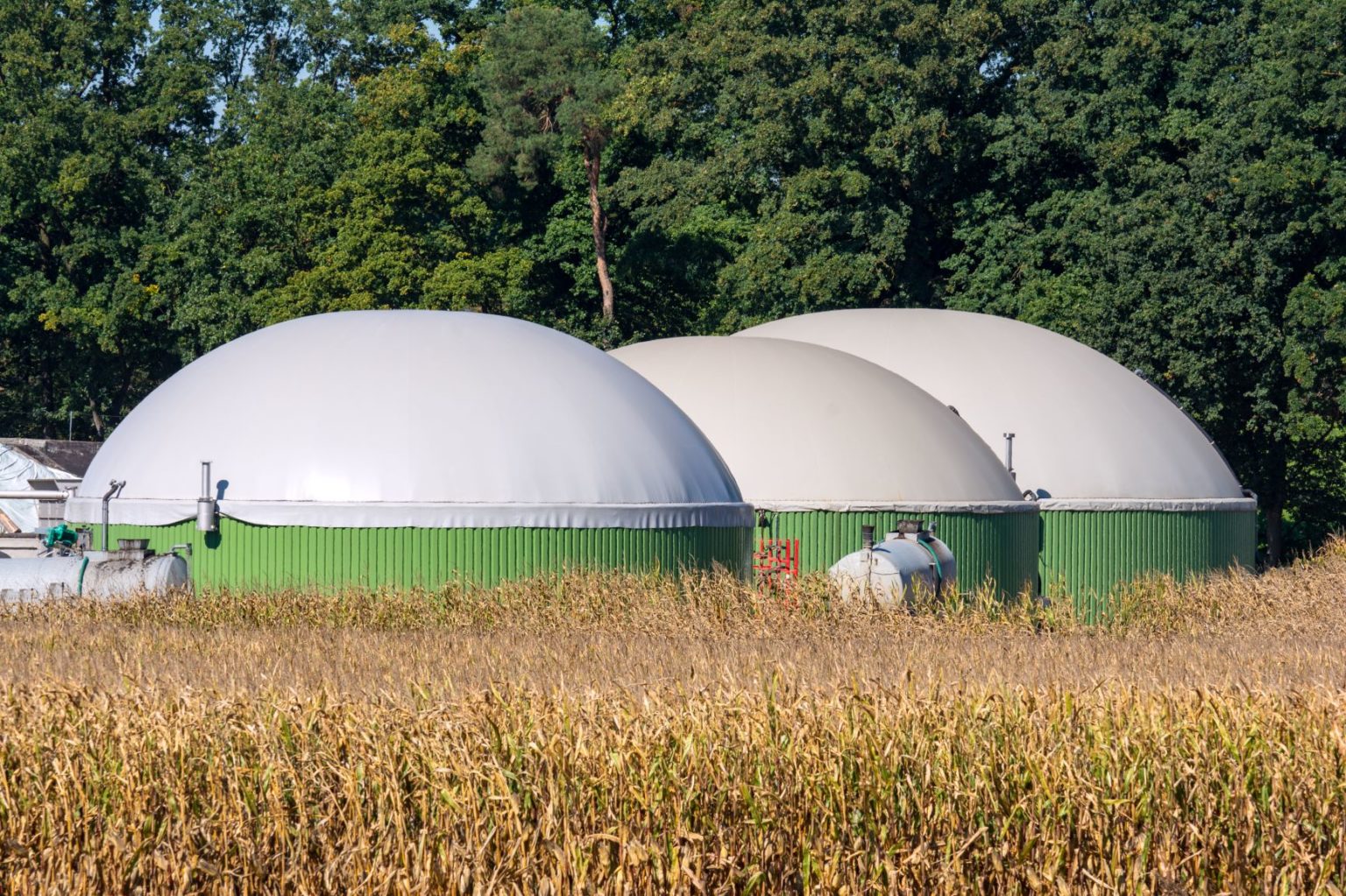 Curso básico de biodigestores - Plataforma Bio-emprender